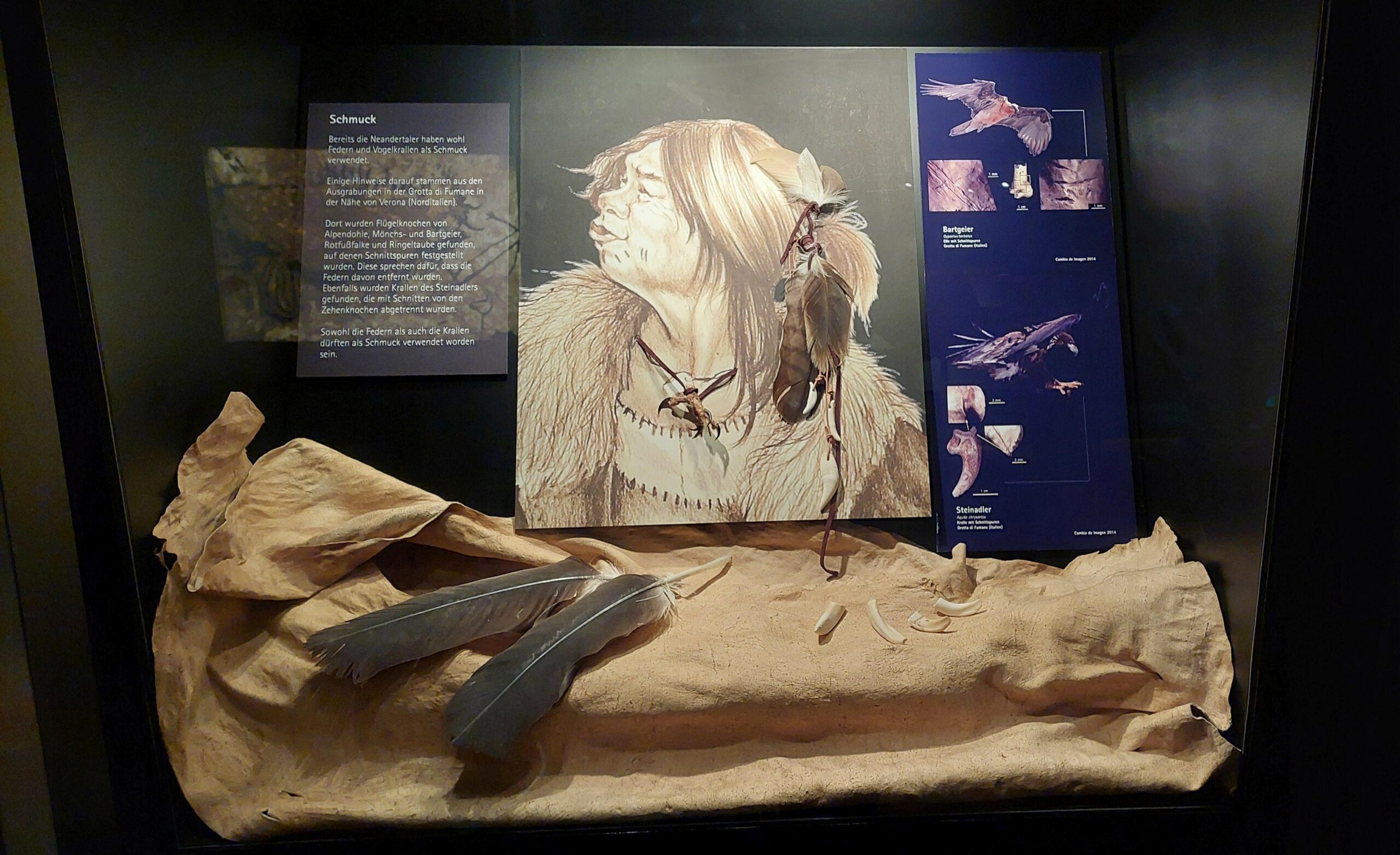 Ausstellung "Vogelperspektiven" noch bis 29.1. im urmu - Weltkultursprung